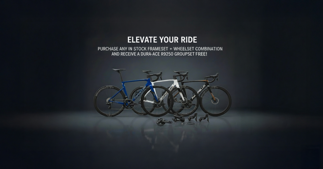 Size Chart Colnago – Veloholic Cycles